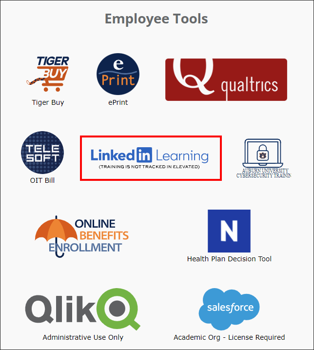 Information Technology - Professional Development with LinkedIn Learning and Elevated - Service ...